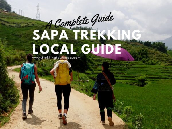 A Complete Guide To Trekking In Sapa With Local Experts