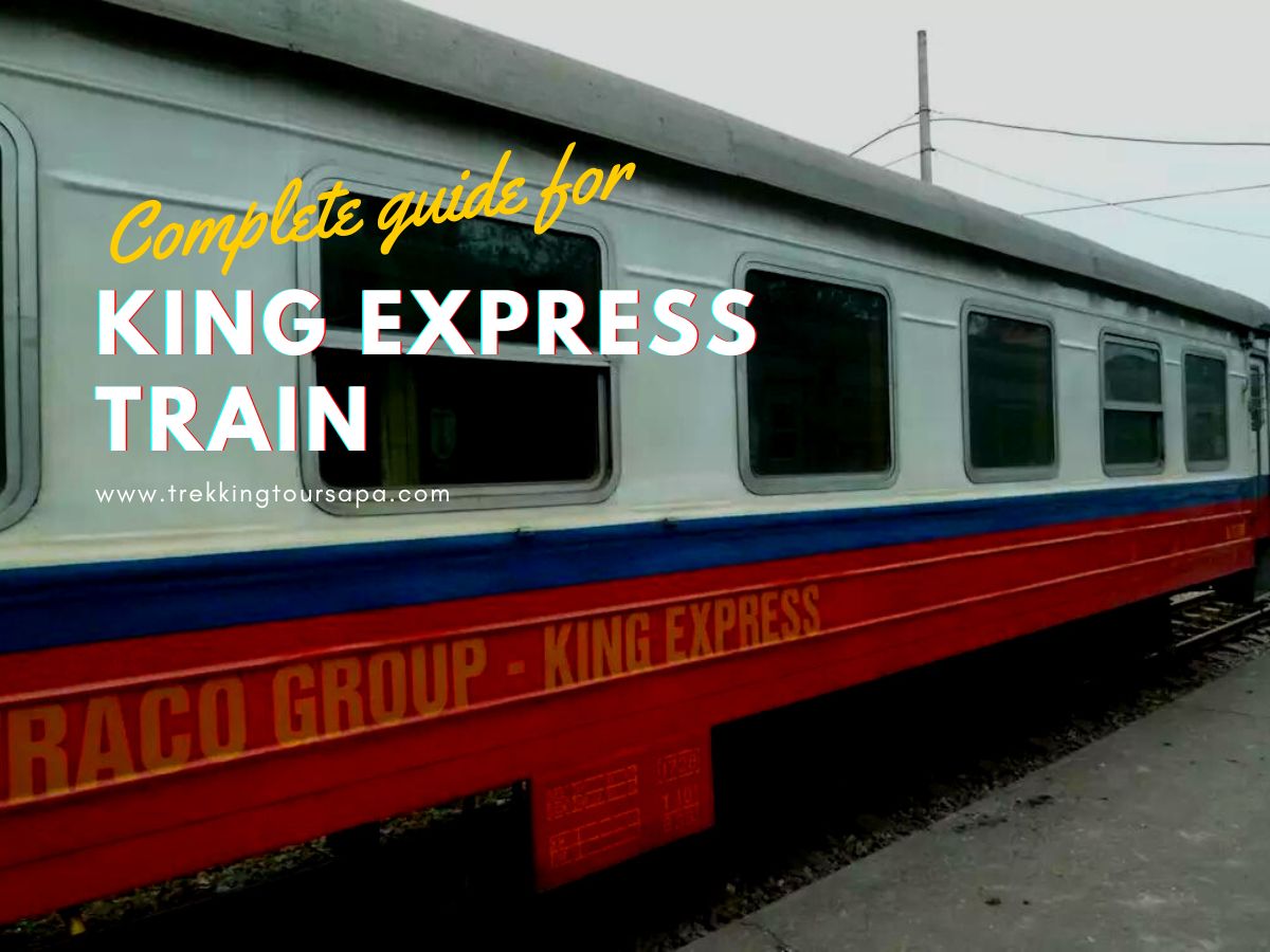 King Express Train: Everything You Need To Know