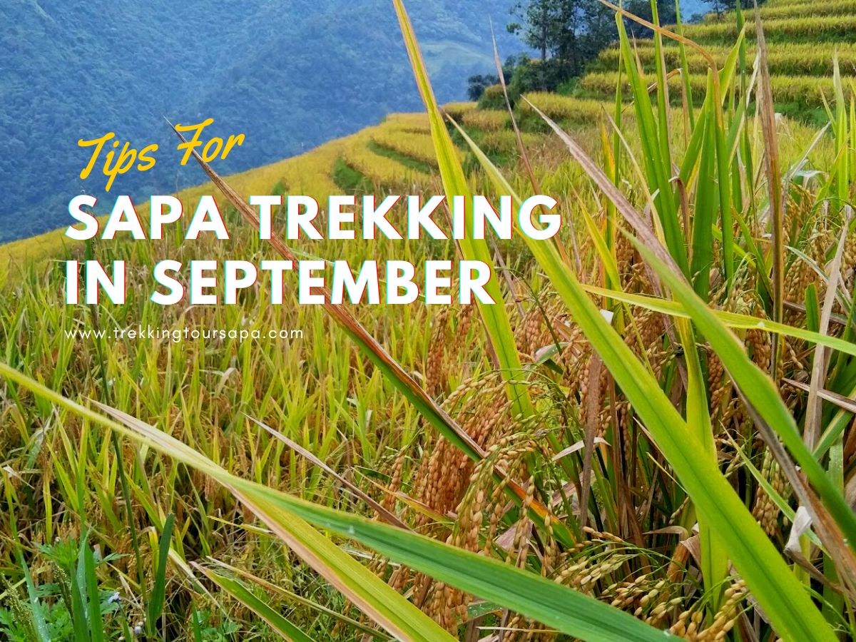 Sapa Trekking In September 2025 – Weather, Tours, See?