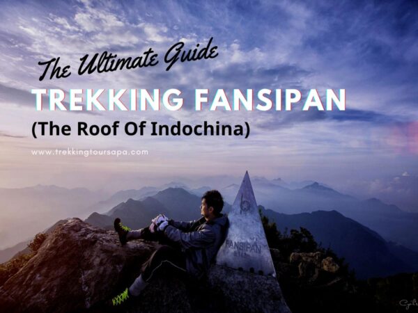 Trekking Fansipan 2024: Ultimate Guide To Conquer Fansipan