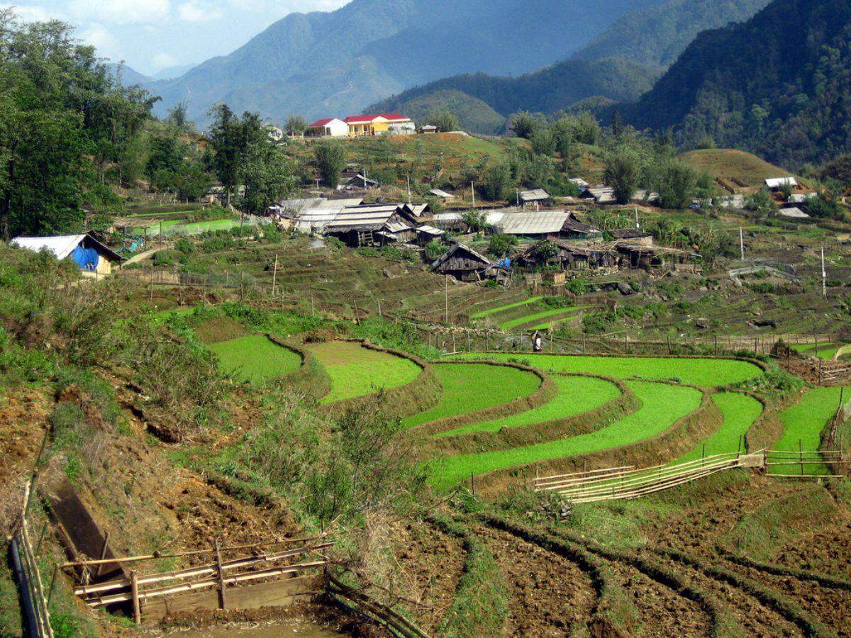 Top 5 Best Sapa Easy Trekking For Beginner Travelers