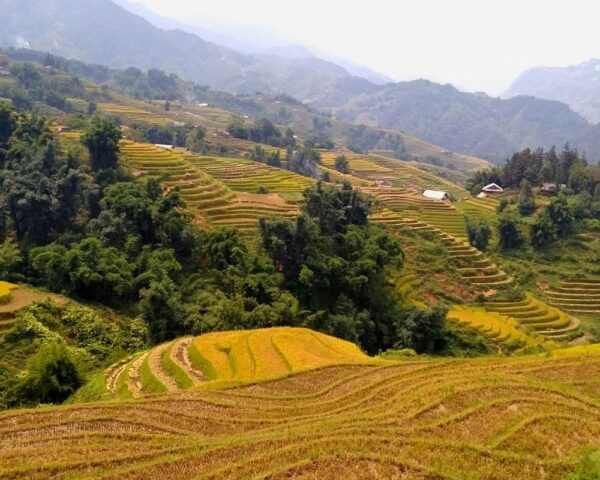 Discover The Best Hiking Trails With A Sapa Trekking Map