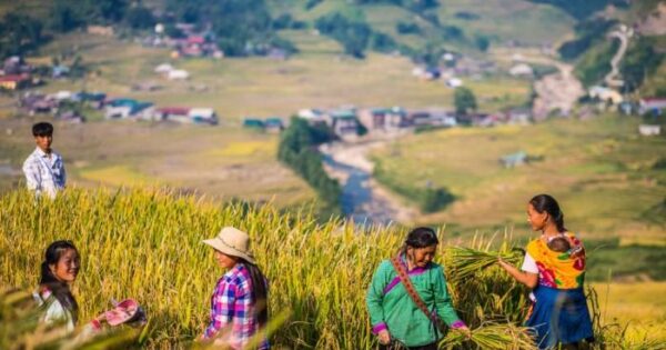 Is Sapa Worth Visiting? 13 Things You Must Know Before Go