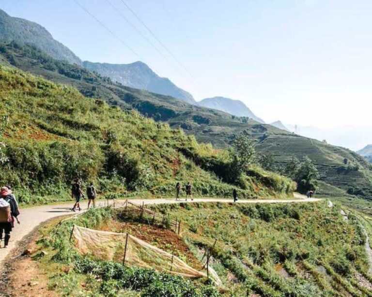 Discover The Best Hiking Trails With A Sapa Trekking Map