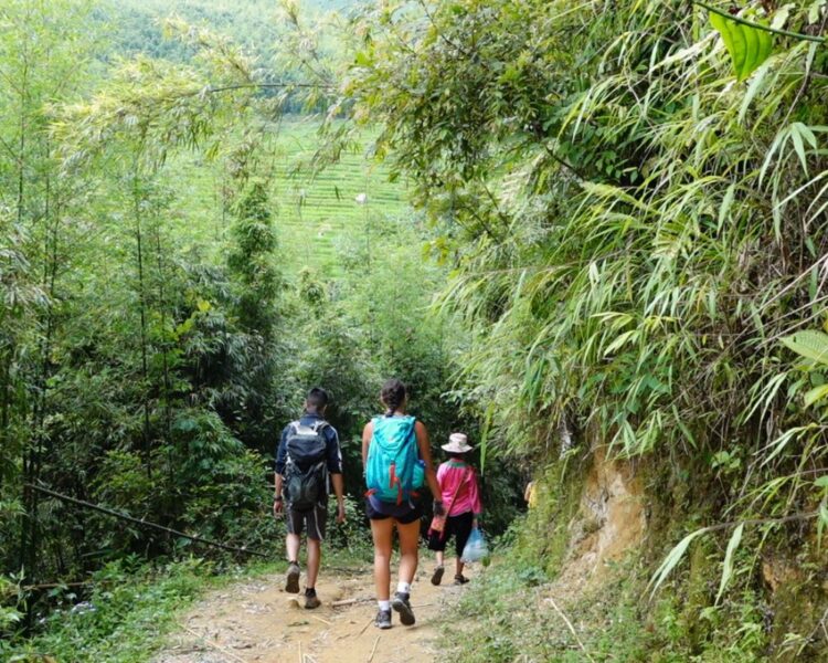 A Complete Guide To Trekking In Sapa With Local Experts