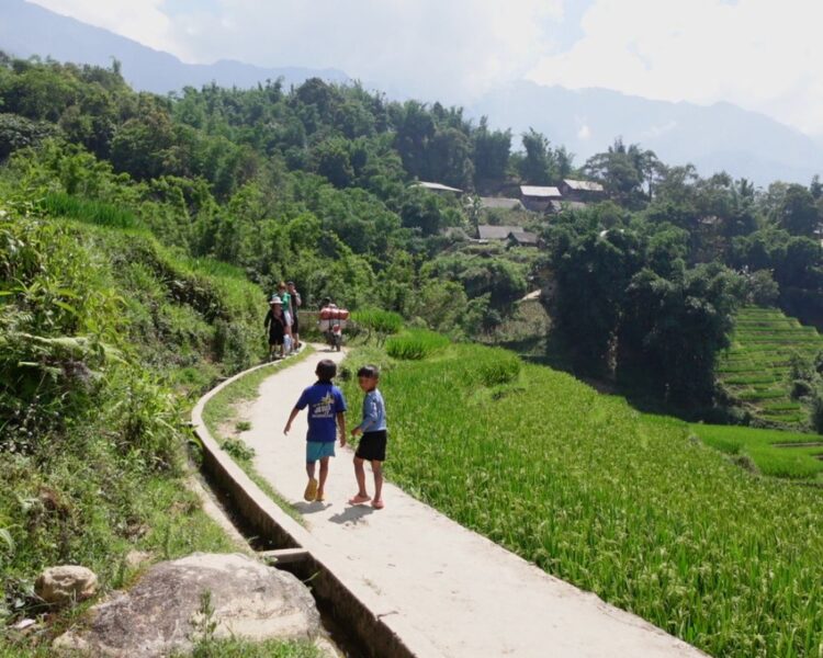 Sapa Hiking: Go Off The Beaten Track [Best Guide 2024]