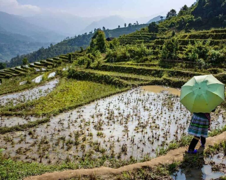 Discover The Best Hiking Trails With A Sapa Trekking Map