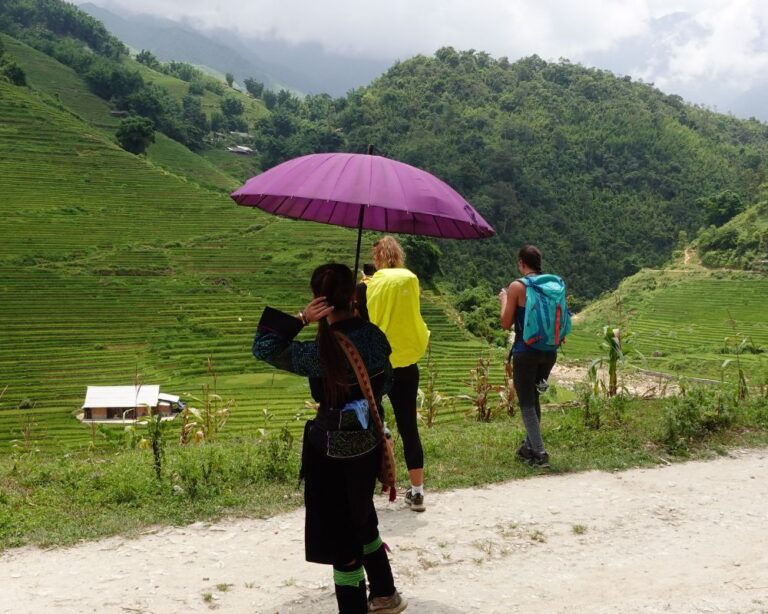 The Best Sapa Trekking Routes Of 2024: A Full Guide