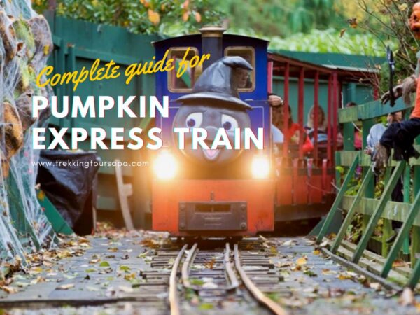 Pumpkin Express Train: All You Need To Know Before Booking