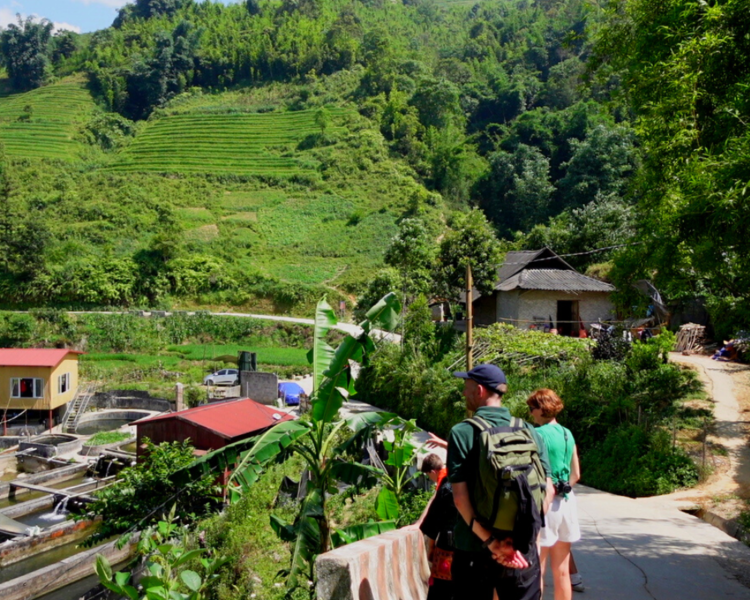 The 10 Best Treks In Sapa (From Easy To Challenge)