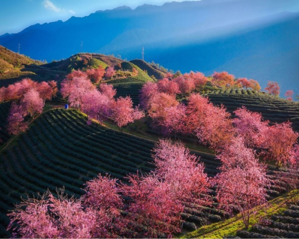 5 Best Sapa Trekking Tips You Should Know