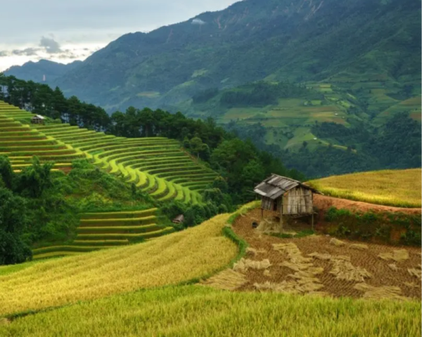 Sapa Travel Guide: Can You Explore Sapa On Your Own?