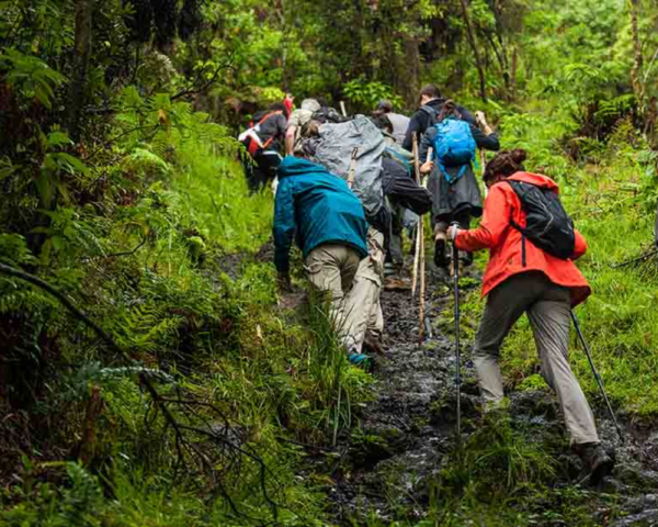 20 Best Sapa Day Trips & Tours From Hanoi - Trekking In Sapa Vietnam