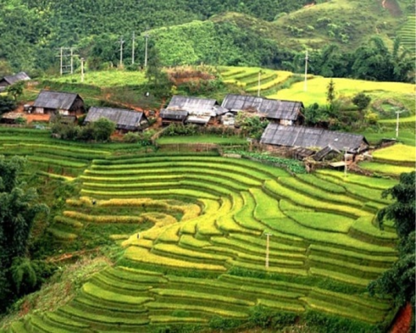 Is Sapa Worth Visiting In November? Here's What You Need To Know The ...