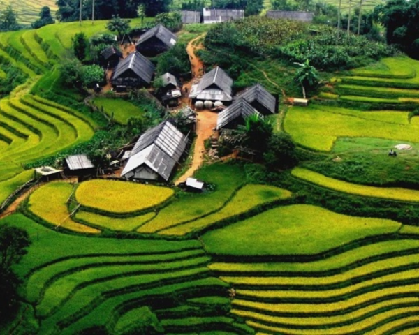 Sapa Tours From Hanoi: Your Ultimate Guide To Northern Vietnam ...